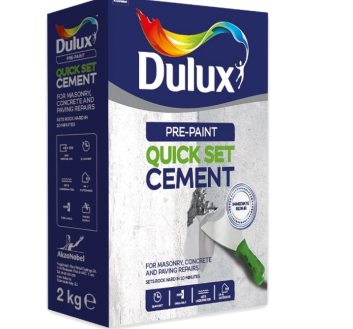 DULUX PRE-PAINT QUICK SET CEMENT